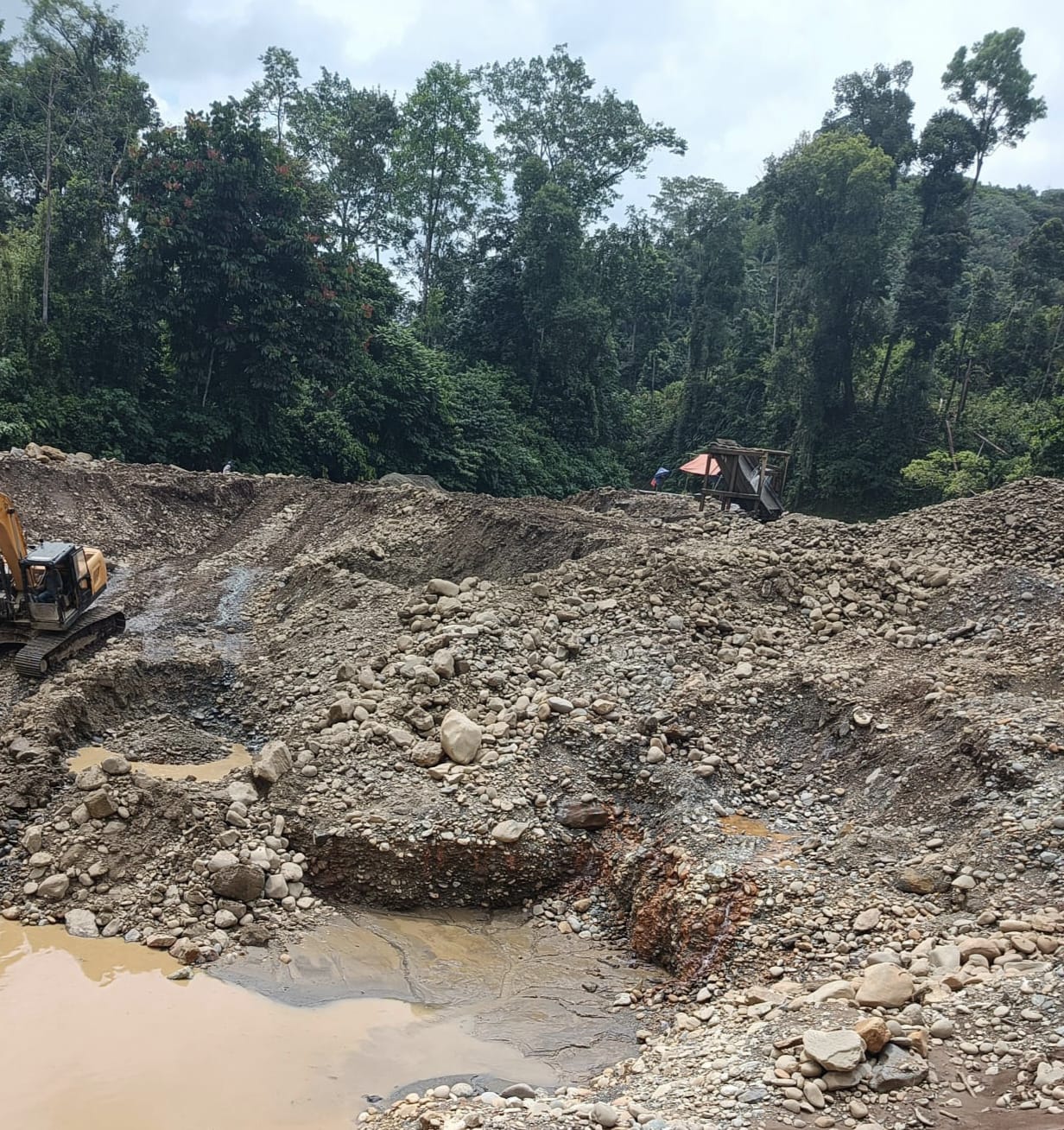 PETI Gunakan Alat Berat Menjamur di Limbur Lubuk Mengkuang - BRITAKU.NET